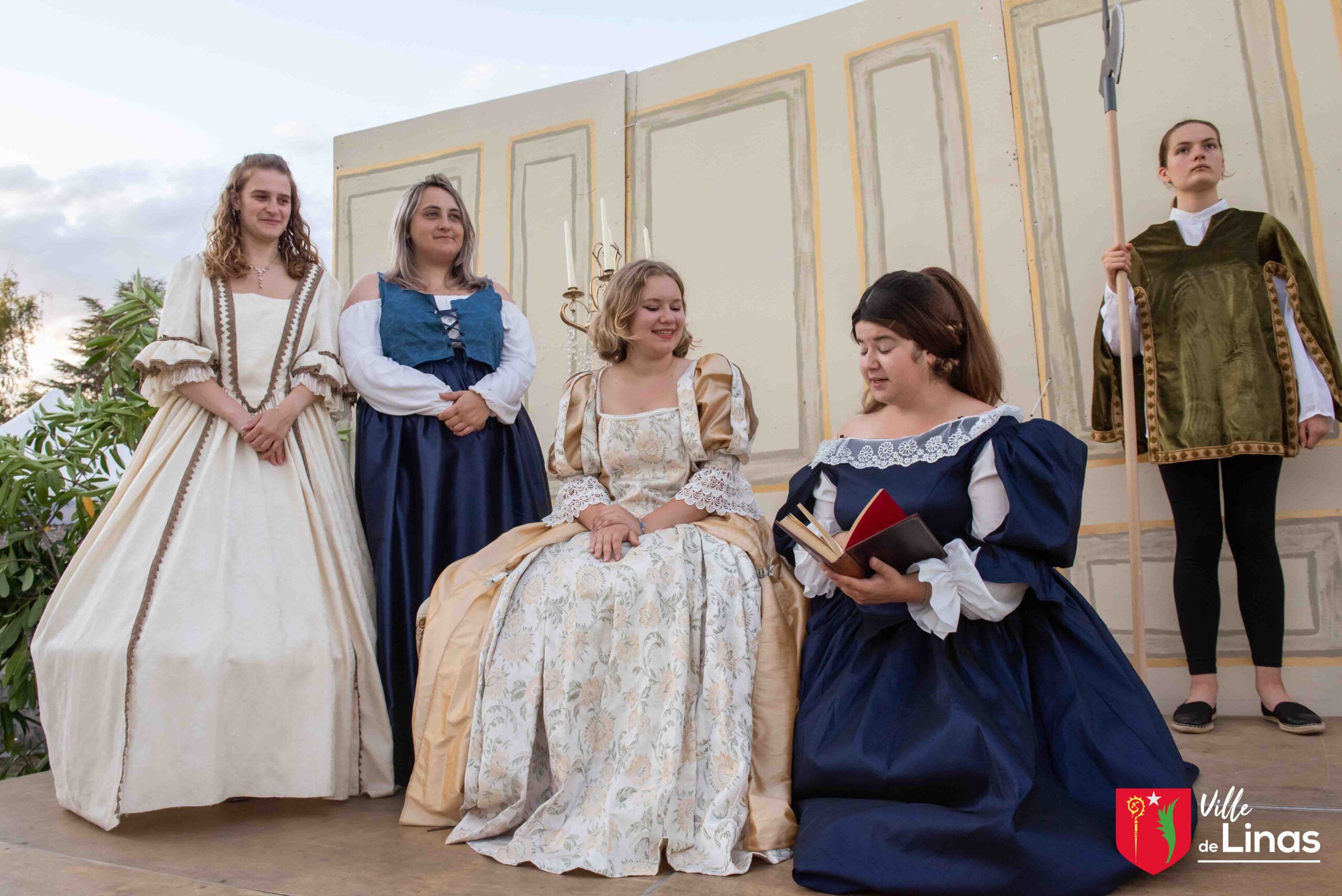 Spectacle Son & Lumière - Mairie de Linas (91)